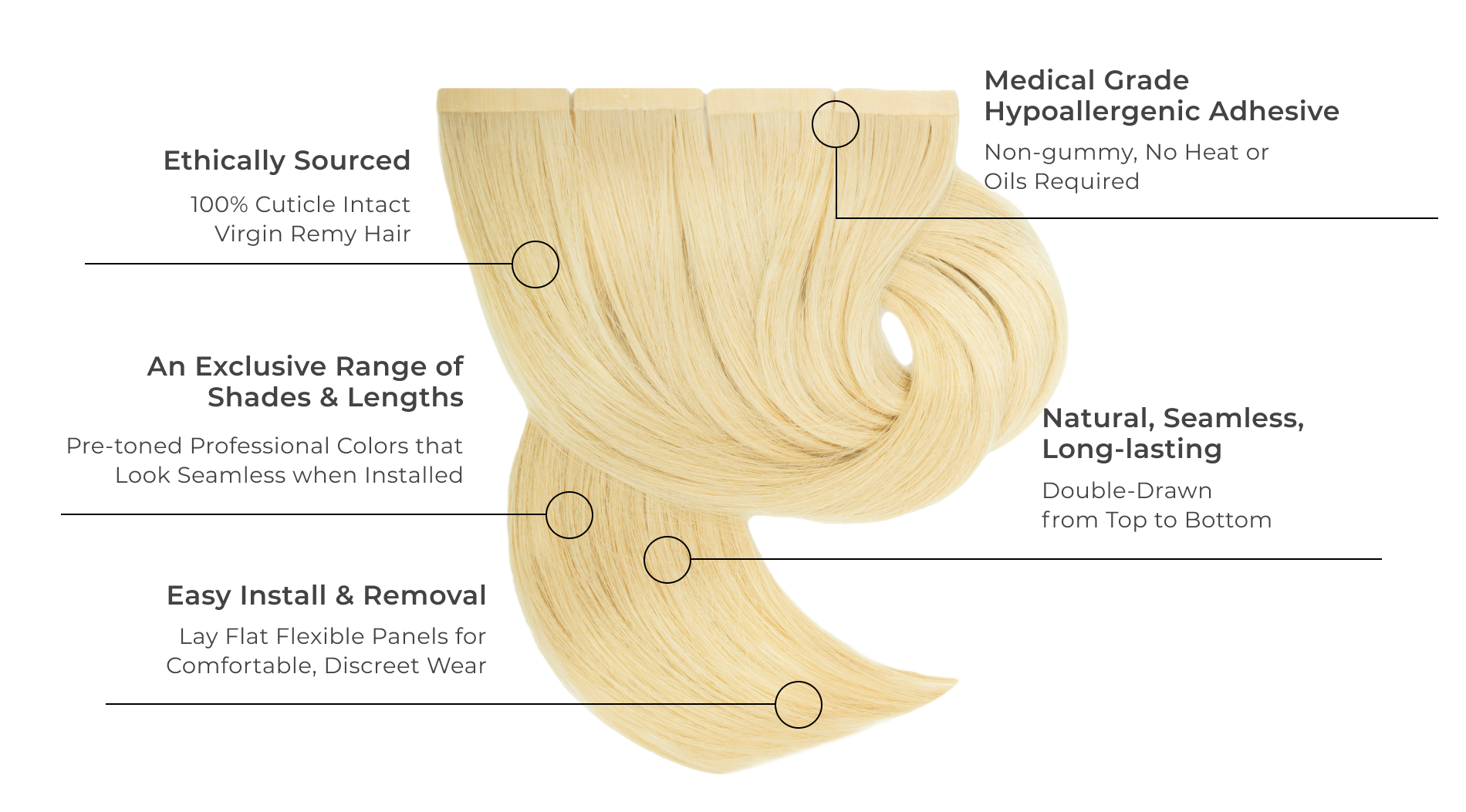 INH Professional – INHProfessional